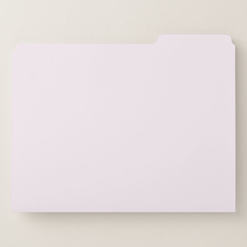 Modern Chic Simple File Folder | Zazzle