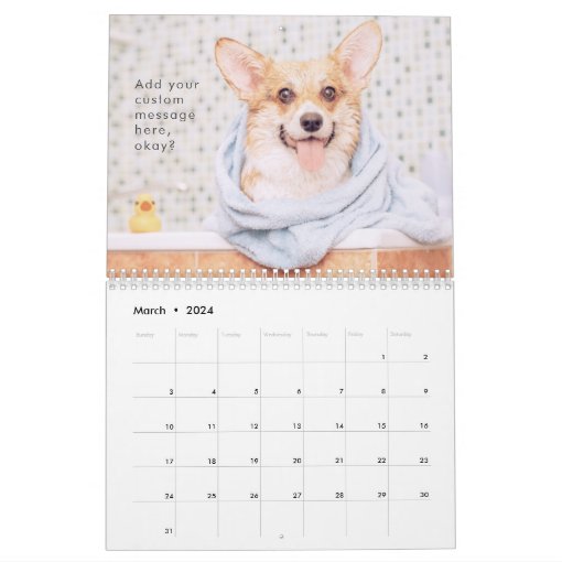 Modern Cute Funny Corgi Dogs Photos Calendar | Zazzle