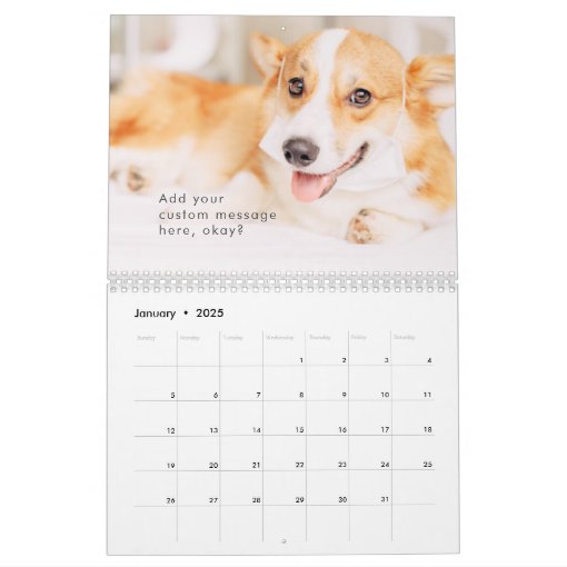 Modern Cute Funny Corgi Dogs Photos Calendar | Zazzle