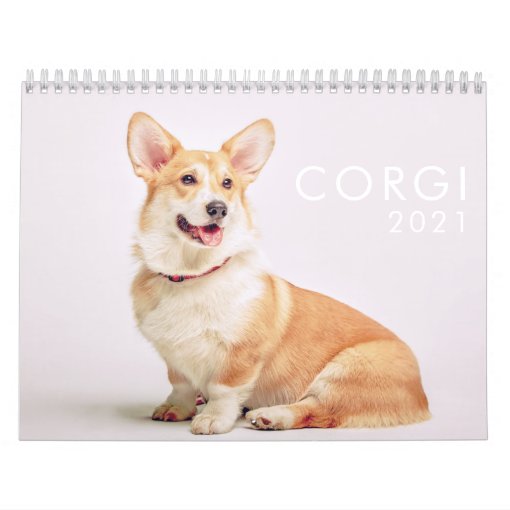 Modern Cute Funny Corgi Dogs Photos Calendar | Zazzle