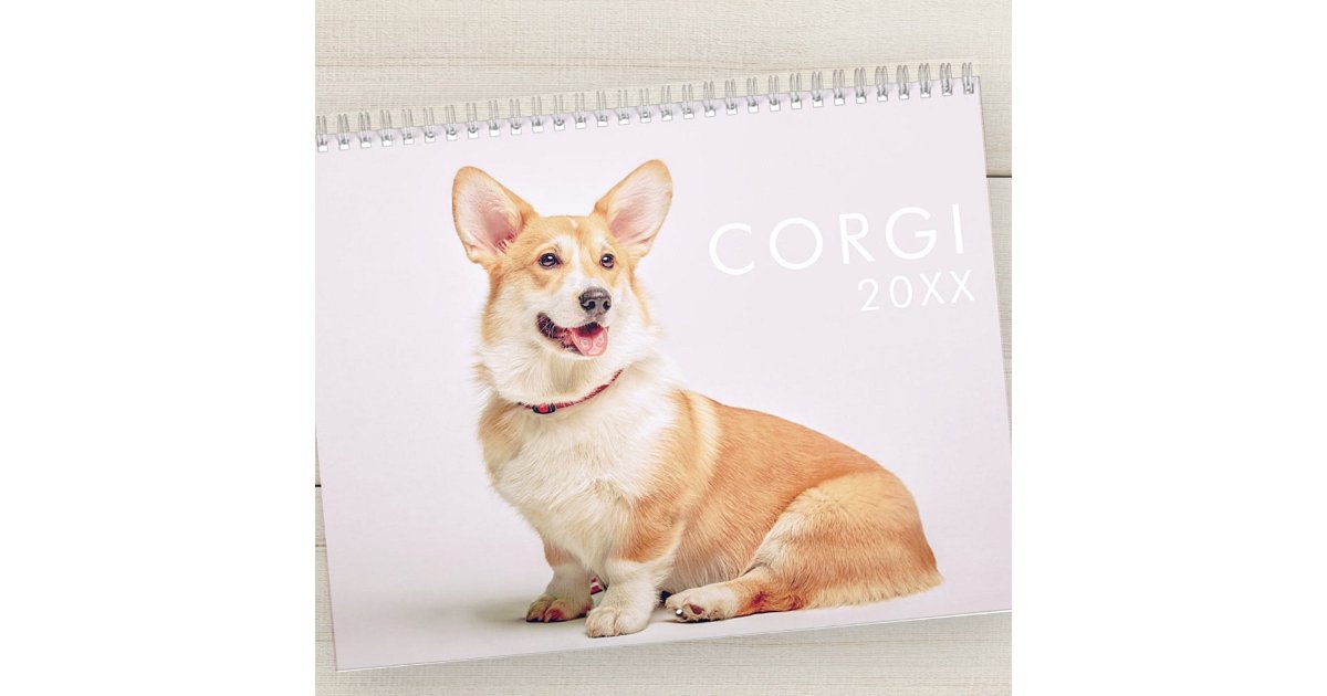 Modern Cute Funny Corgi Dogs Photos Calendar | Zazzle