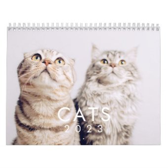 Modern Cute Funny Pet Kitten Cat Photos Calendar | Zazzle