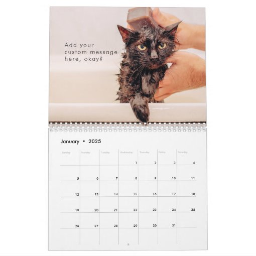 Modern Cute Funny Pet Kitten Cat Photos Calendar | Zazzle