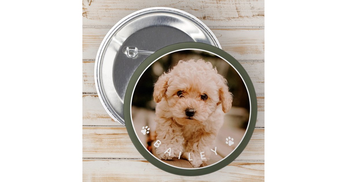 Modern Cute Paws Family Pet Photo Button | Zazzle