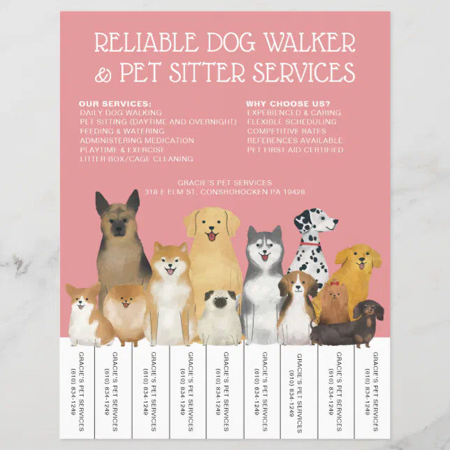 Modern Dog Walker Pet Sitter Pink Simple Strip Flyer | Zazzle