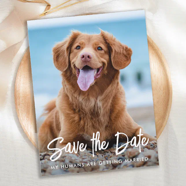 Modern Dog Wedding Custom Pet Photo Save The Date Announcement Postcard ...