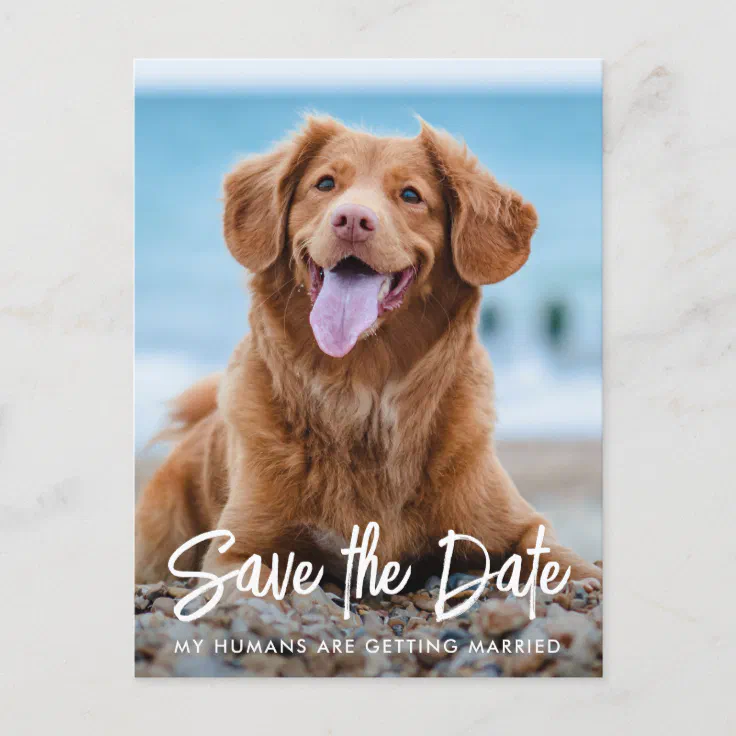 Modern Dog Wedding Custom Pet Photo Save The Date Announcement Postcard ...