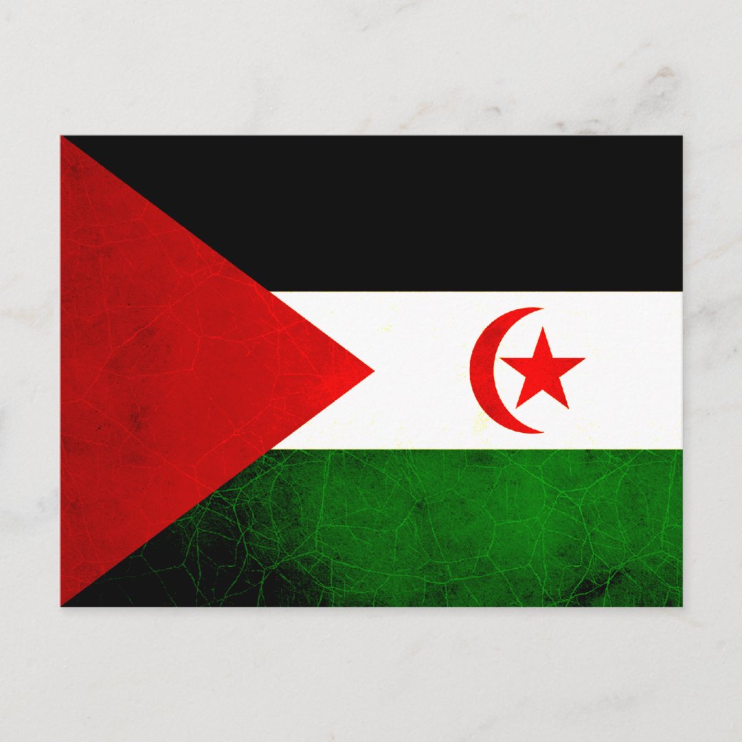 Modern Edgy Sahrawi Flag Postcard | Zazzle