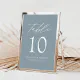 Modern Elegant Dusty Blue Wedding Table Number | Zazzle