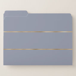 Modern Elegant Stripe Blue Gold File Folder | Zazzle