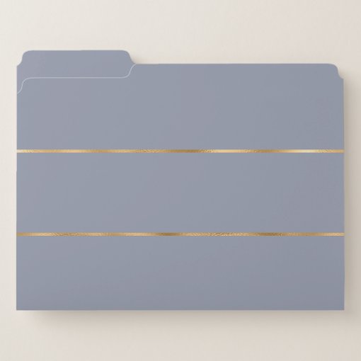 Modern Elegant Stripe Blue Gold File Folder | Zazzle