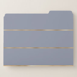 Modern Elegant Stripe Blue Gold File Folder | Zazzle