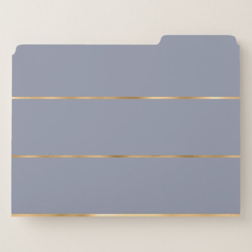 Modern Elegant Stripe Blue Gold File Folder | Zazzle