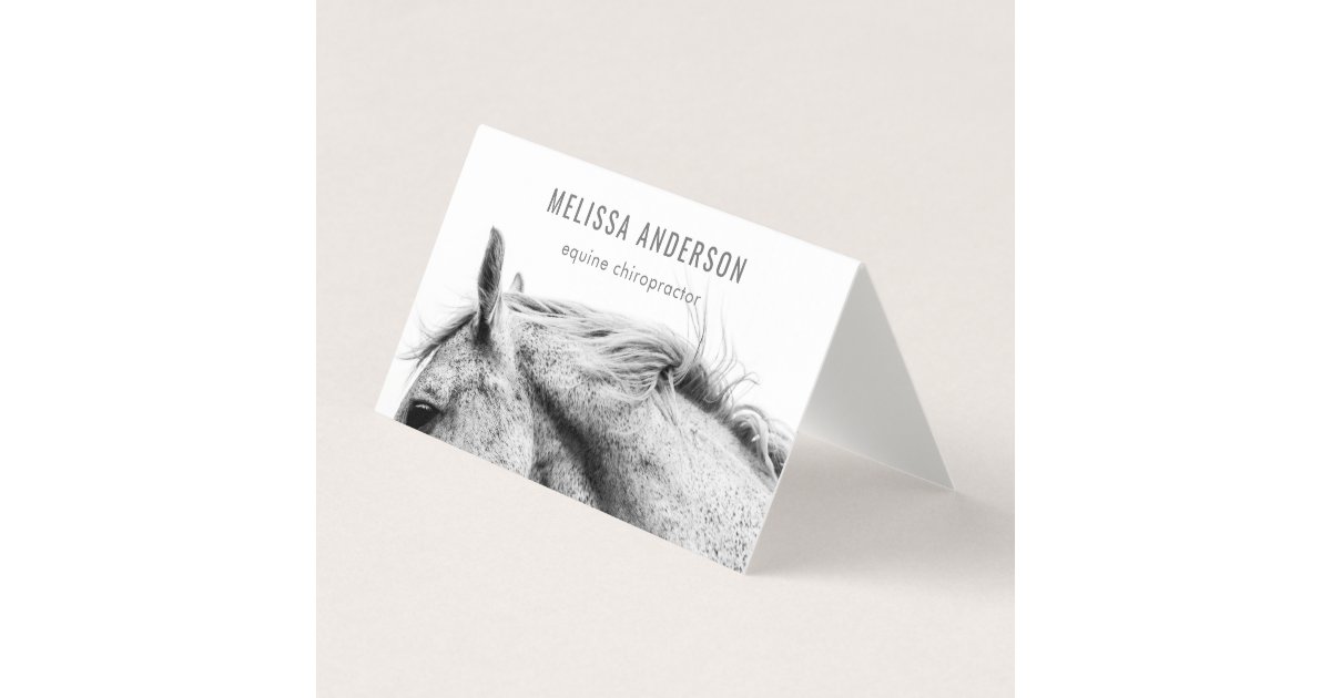 Modern Equine Chiropractor Physiotherapist Business Card | Zazzle Modern Equine Chiropractor Physiotherapist Business Card | Zazzle