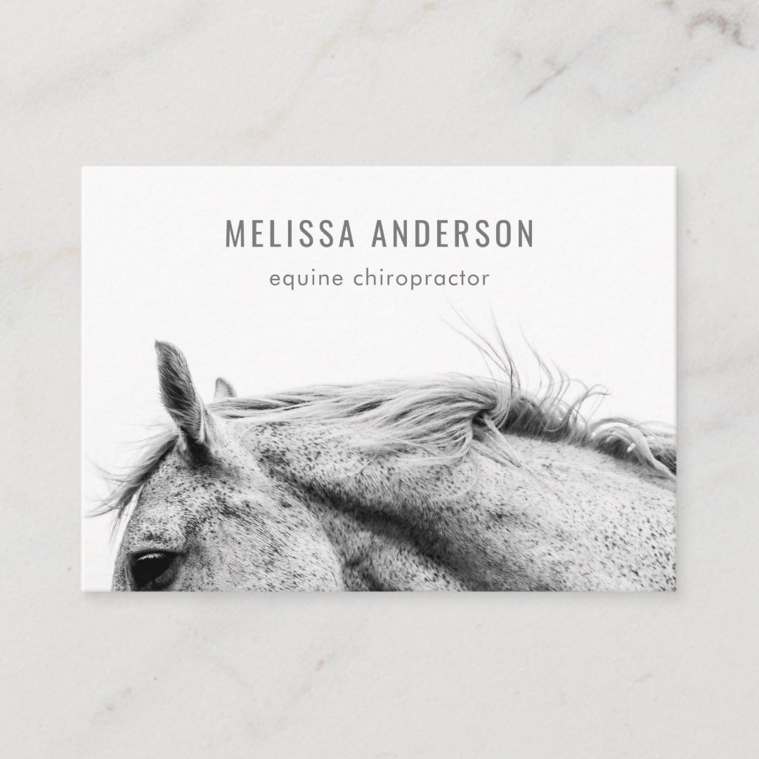 Modern Equine Chiropractor Physiotherapist Photo Business Card | Zazzle Modern Equine Chiropractor Physiotherapist Photo Business Card | Zazzle