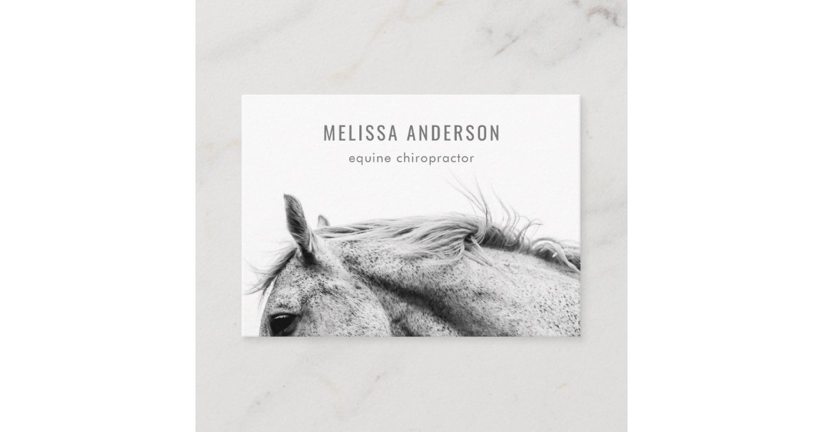 Modern Equine Chiropractor Physiotherapist Photo Business Card | Zazzle Modern Equine Chiropractor Physiotherapist Photo Business Card | Zazzle