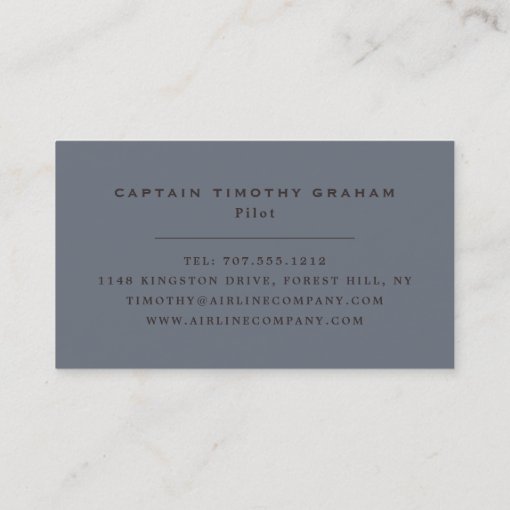 Modern Flight, Flight Steward & Pilot Business Card | Zazzle
