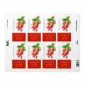 Modern Homemade Strawberry Jam Label | Zazzle