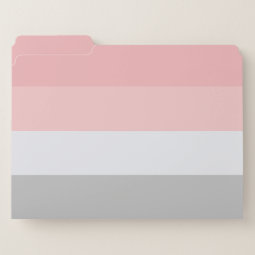 Modern Horizontal Stripe Pastel Pink & Gray File Folder | Zazzle