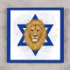Modern Lion of Judah . Star of David Photo Print | Zazzle