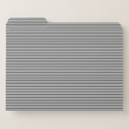 Modern Minimal Classic Stripe File Folder | Zazzle