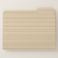 Modern Minimal Classic Stripe File Folder | Zazzle