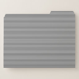 Modern Minimal Classic Stripe File Folder | Zazzle