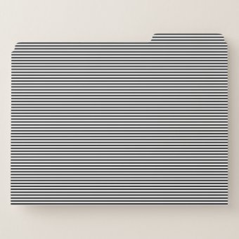 Modern Minimal Classic Stripe File Folder | Zazzle