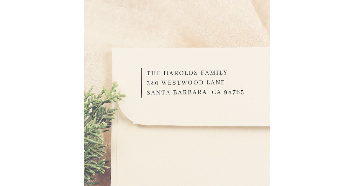 Modern Minimalist Formal Name & Address Rubber Stamp | Zazzle