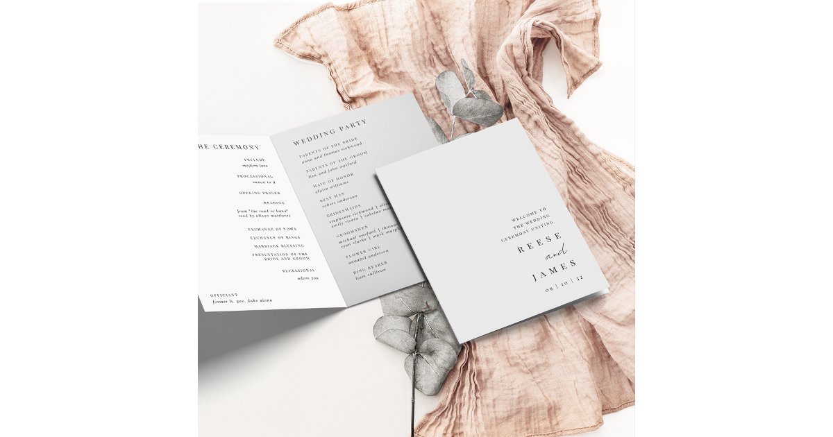 Modern Minimalist Wedding Program | Zazzle