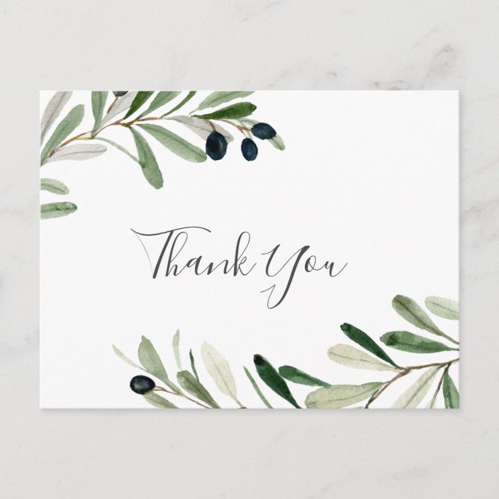 Modern Olive Branch Thank You Postcard | Zazzle.com