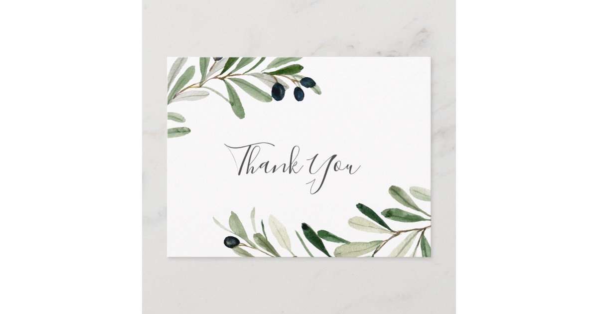 Modern Olive Branch Thank You Postcard | Zazzle