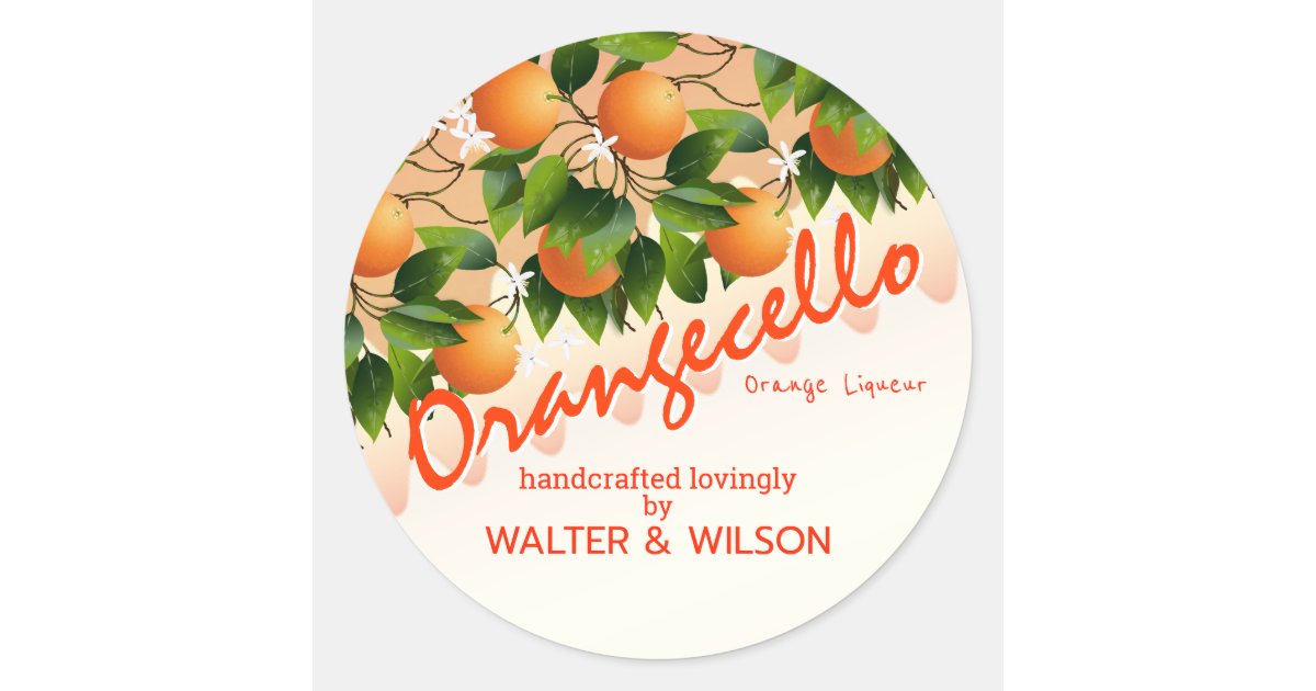 Modern Orangecello Orange Classic Round Sticker | Zazzle