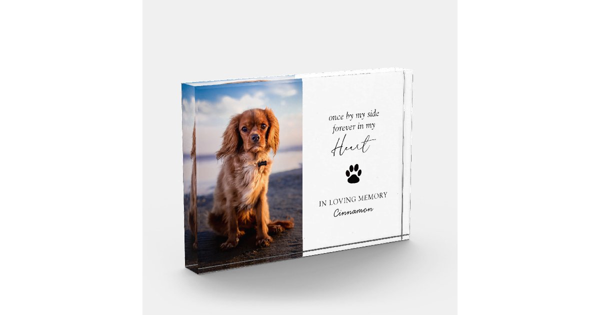 Modern Paw Print Sympathy Bereavement Pet Memorial Photo Block | Zazzle