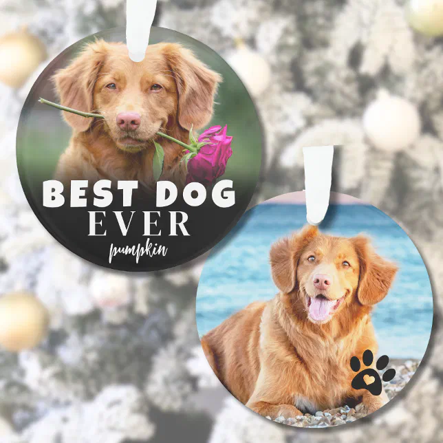 Modern Personalized Cute Best Dog Ever Photo Ornament | Zazzle