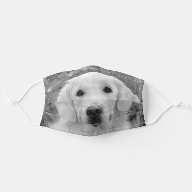 Modern Pet Dog Photo Adult Cloth Face Mask | Zazzle
