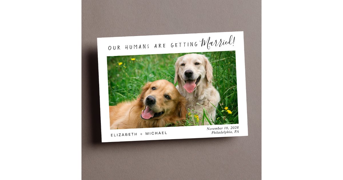 Modern Pet Photo Save the Date | Zazzle