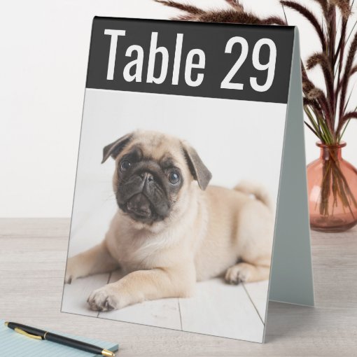 Modern Pet Photo Wedding Table Number Table Tent Sign | Zazzle