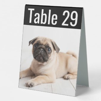 Modern Pet Photo Wedding Table Number Table Tent Sign | Zazzle