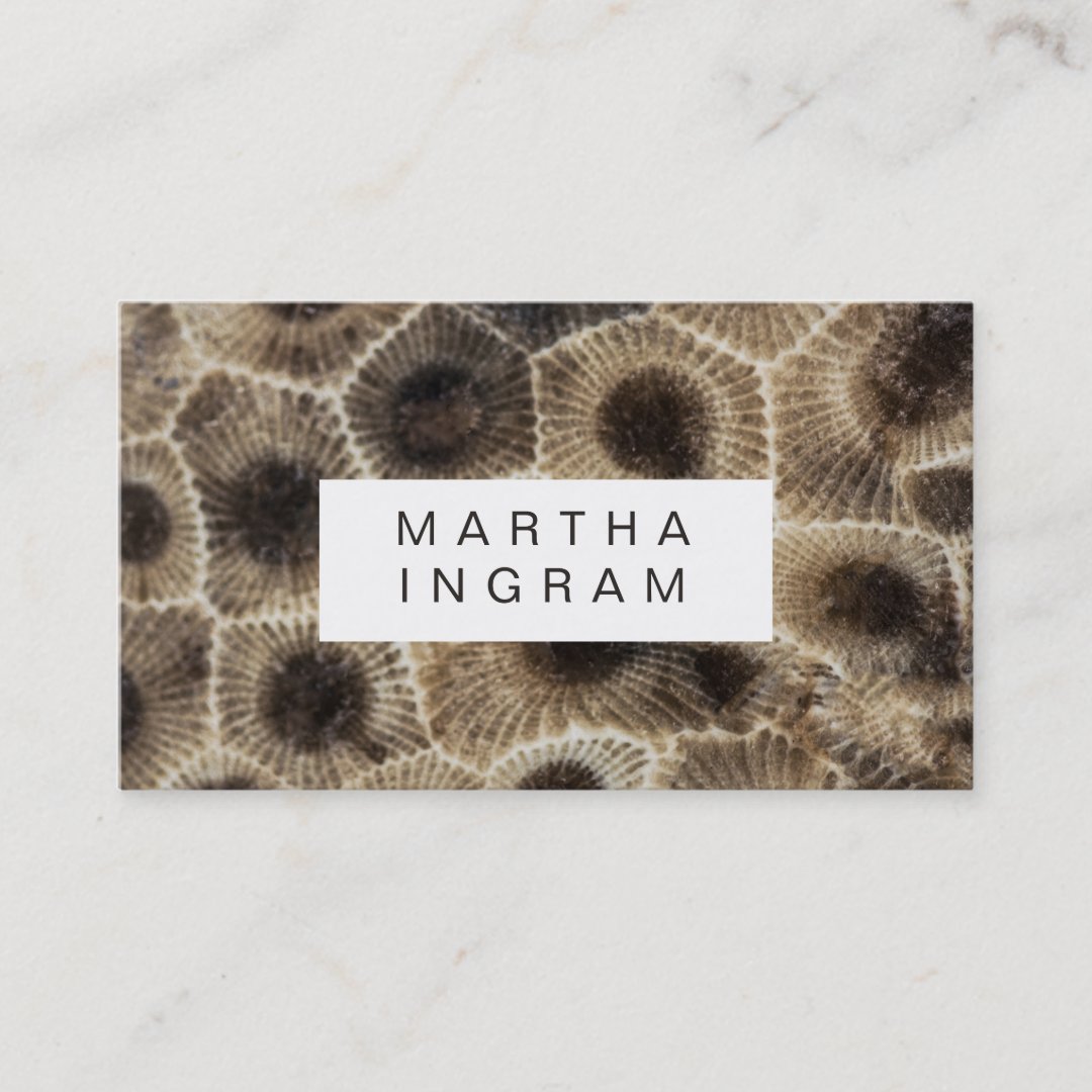Modern Petoskey Stone Abstract Stone Design Business Card | Zazzle