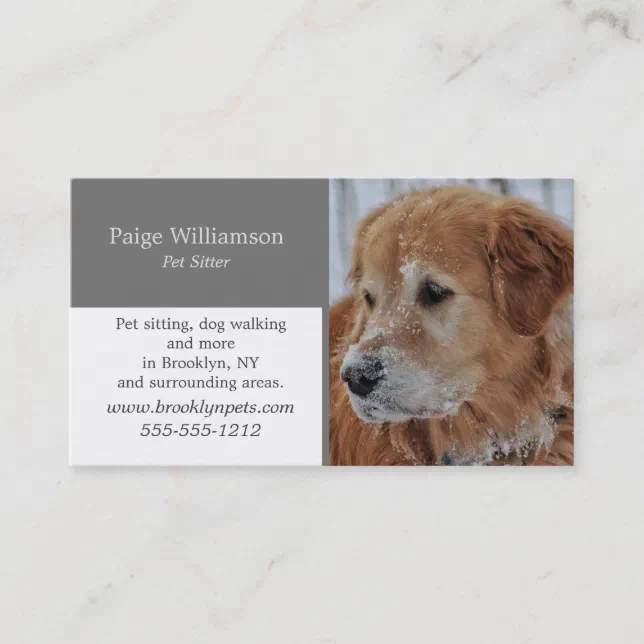Modern Photo Pet Business Card | Zazzle
