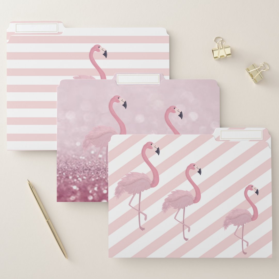 Modern Pink Flamingo,Bokeh Striped File Folder | Zazzle