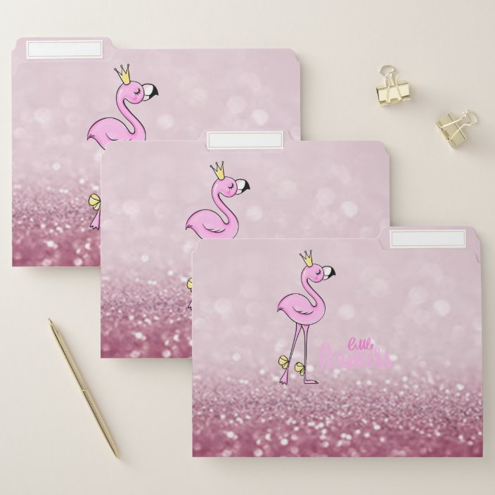 Modern Pink Flamingo,Little Princess Glitter Bokeh File Folder | Zazzle.com