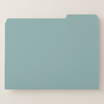 Modern Script Monogram Turquoise Mint Green Name File Folder | Zazzle