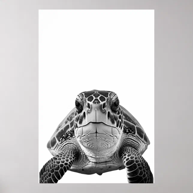 Modern Sea Turtle Portrait black white Poster | Zazzle