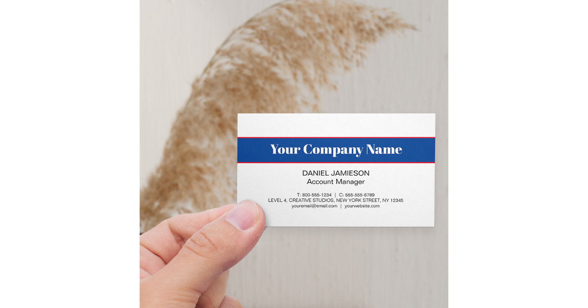 Modern Simple Red White and Blue Professional Business Card | Zazzle