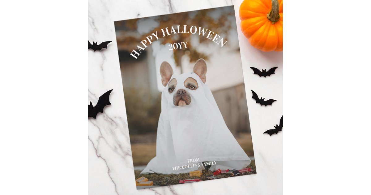 Modern Simple Spooky Pet Photo Happy Halloween Holiday Card | Zazzle