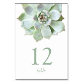 Modern Succulent Wedding Table Number | Zazzle