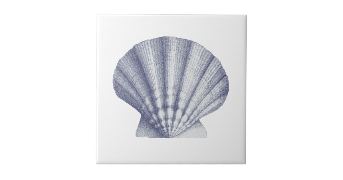 Modern Vintage Blue Sea Shell Ceramic Tile | Zazzle