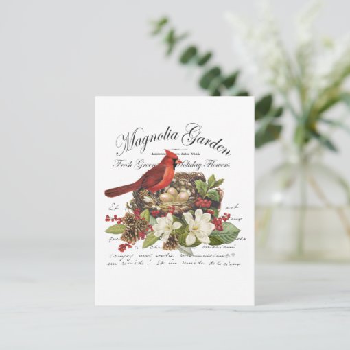 Modern Vintage Christmas Cardinal Postcard | Zazzle